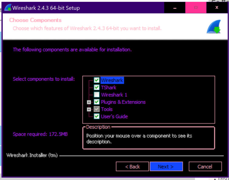 How to Use Wireshark VPN Protocol | How to Install & Use