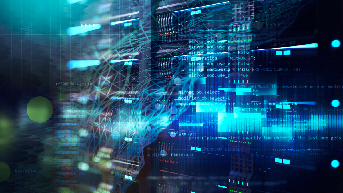 What is DCHP & what does it do? | Everything you need to know