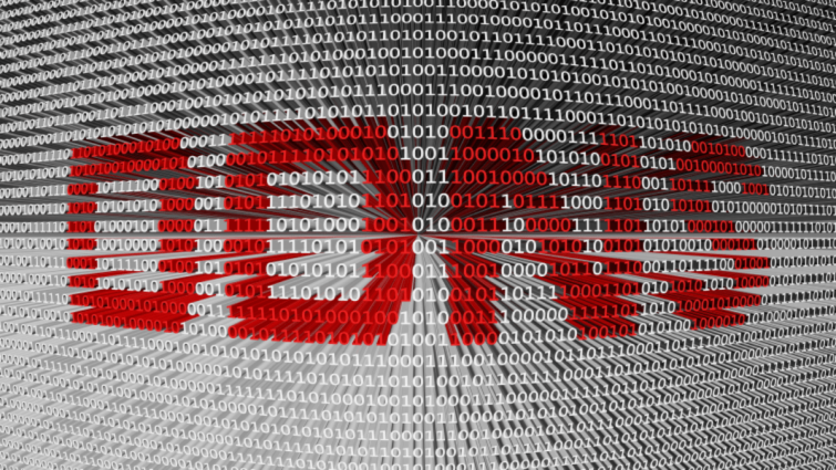 What is DDNS? | Definition & explanation of how it's used